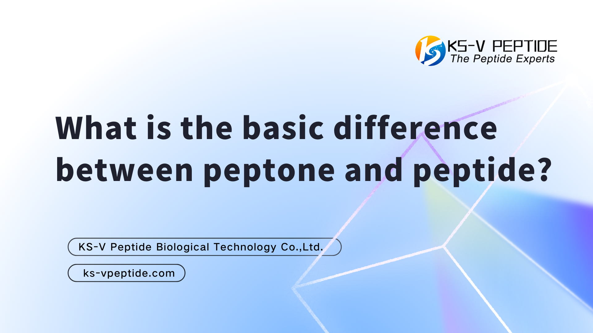 How should the ends of the peptide be handled? Keep it free or block it ...